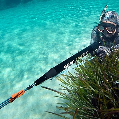 Harpuner - Carlsens DykkerCenter