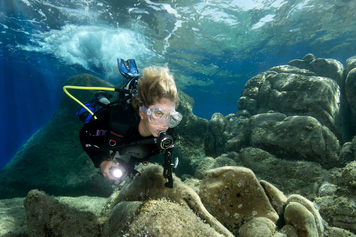 Compasser - Carlsens DykkerCenter